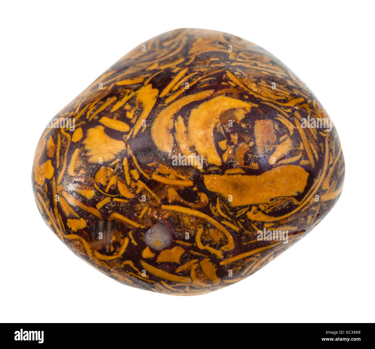 Coquina stone Cut Out Stock Images & Pictures - Alamy