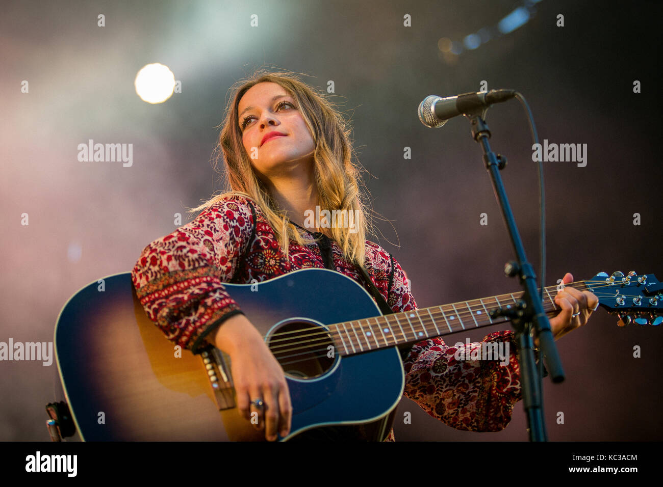 Multi instrumentalist hi-res stock photography and images - Alamy