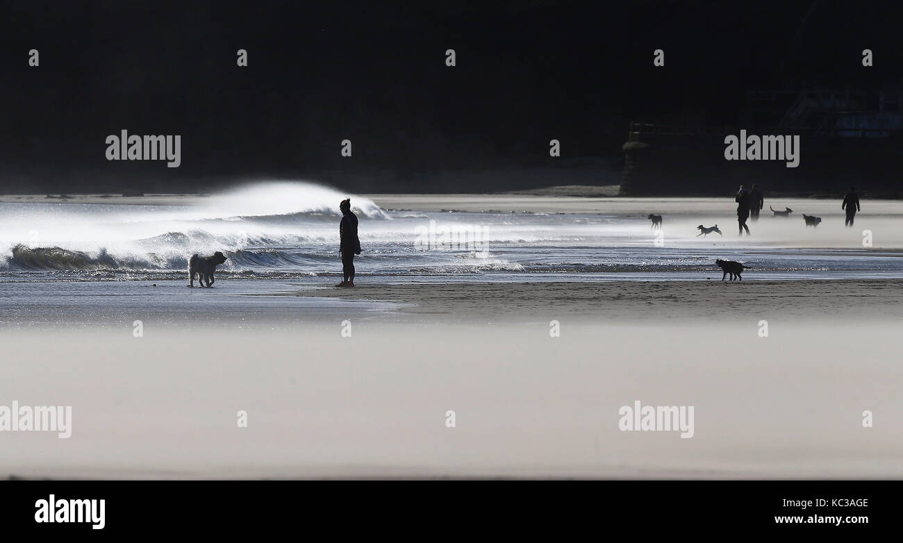 Dog walkers on a wind swept Tynemouth beach as strong winds are ...