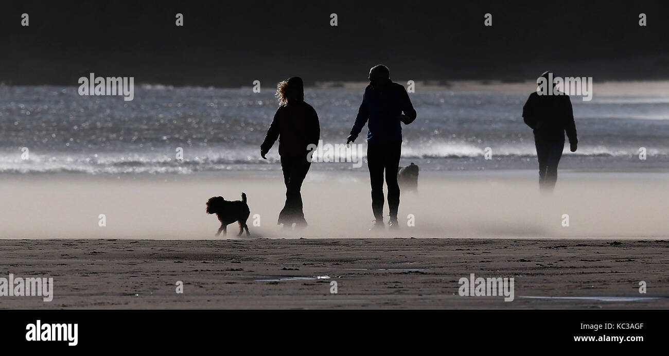 Dog walkers on a wind swept Tynemouth beach as strong winds are ...