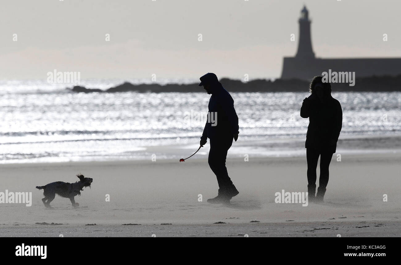 Dog walkers on a wind swept Tynemouth beach as strong winds are ...