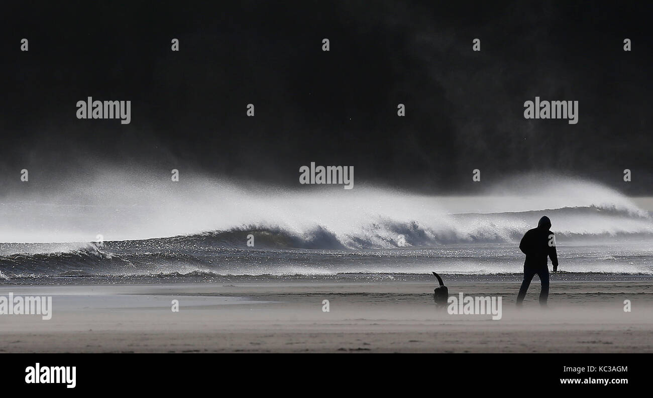 Wind swept tynemouth beach hi-res stock photography and images - Alamy