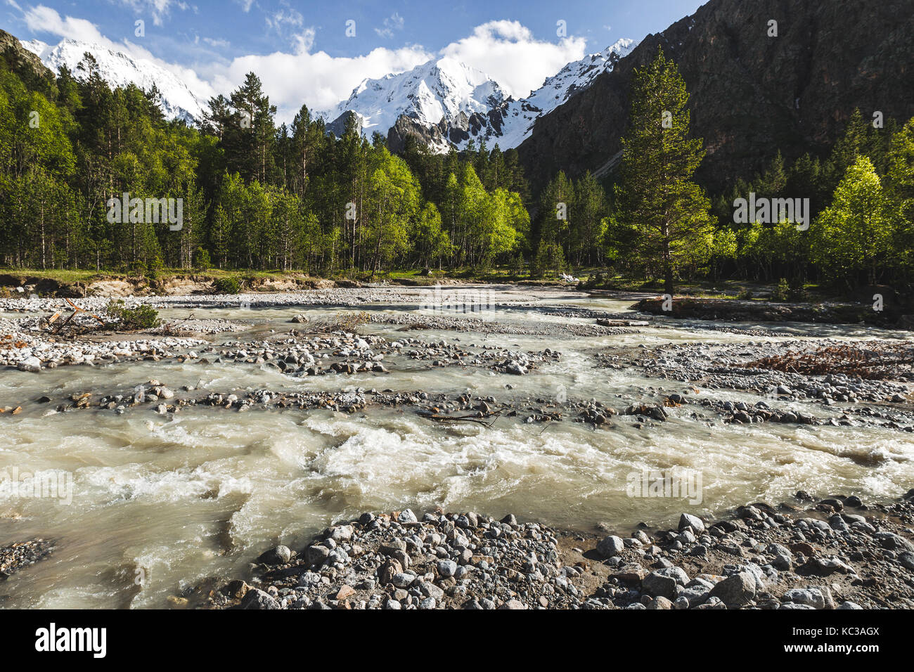 Strong river stream in Caucasian mountains, coniferous forest and tops ...