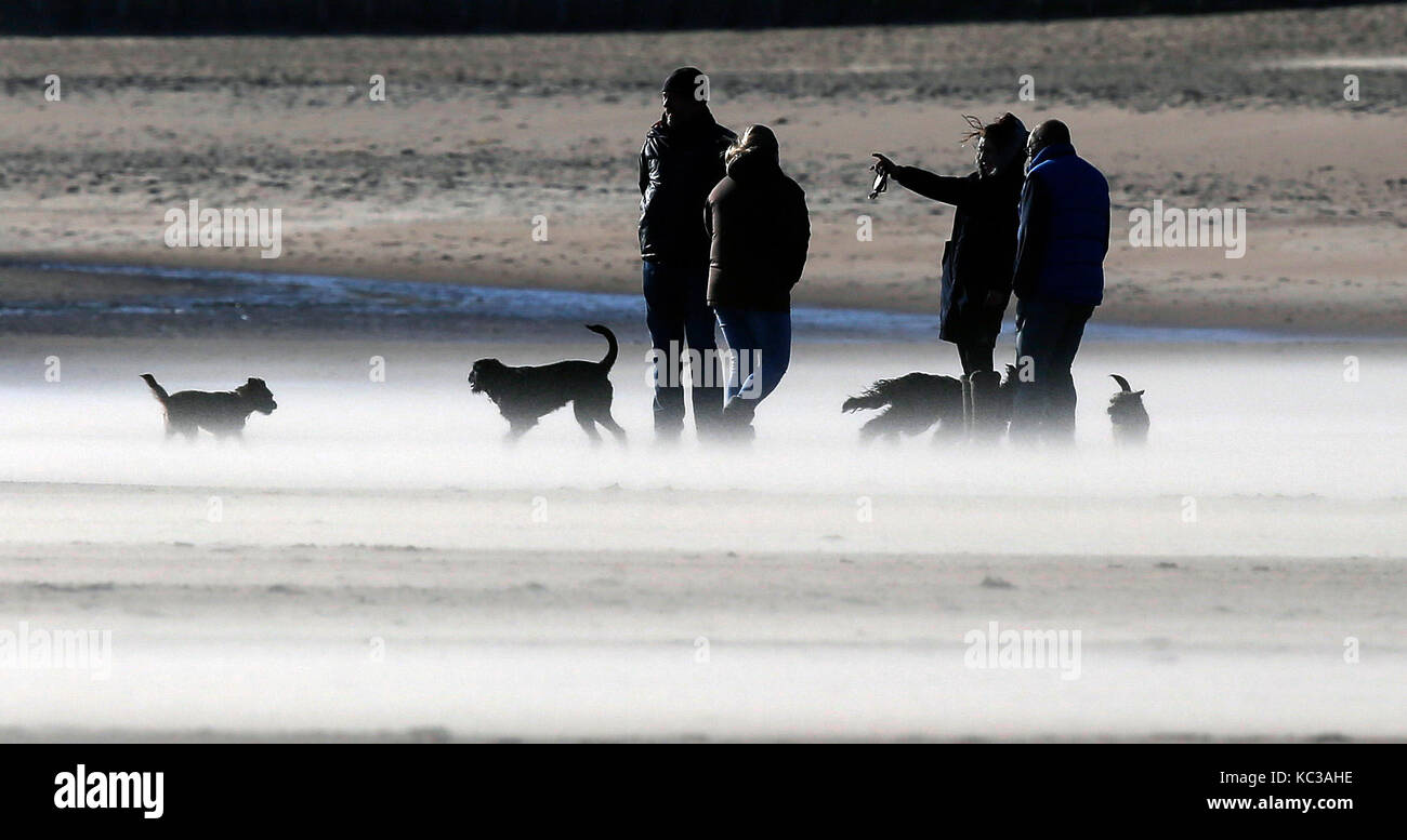Dog walkers on a wind swept Tynemouth beach as strong winds are ...