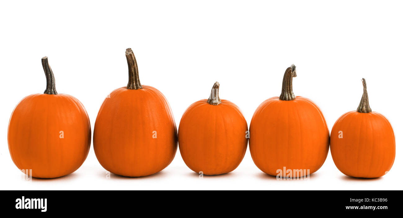 Five orange pumpkins in a row isolated on white background, Halloween ...