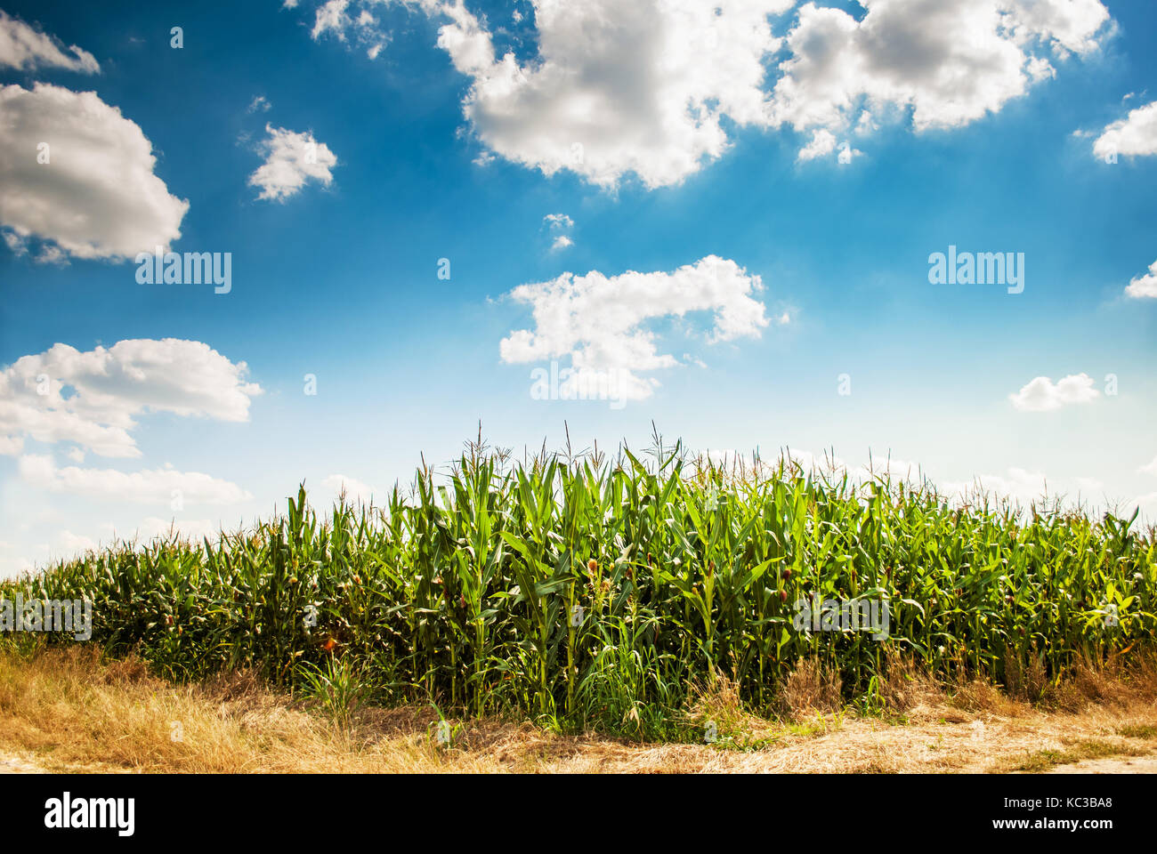 Popcorn clouds hi-res stock photography and images - Alamy