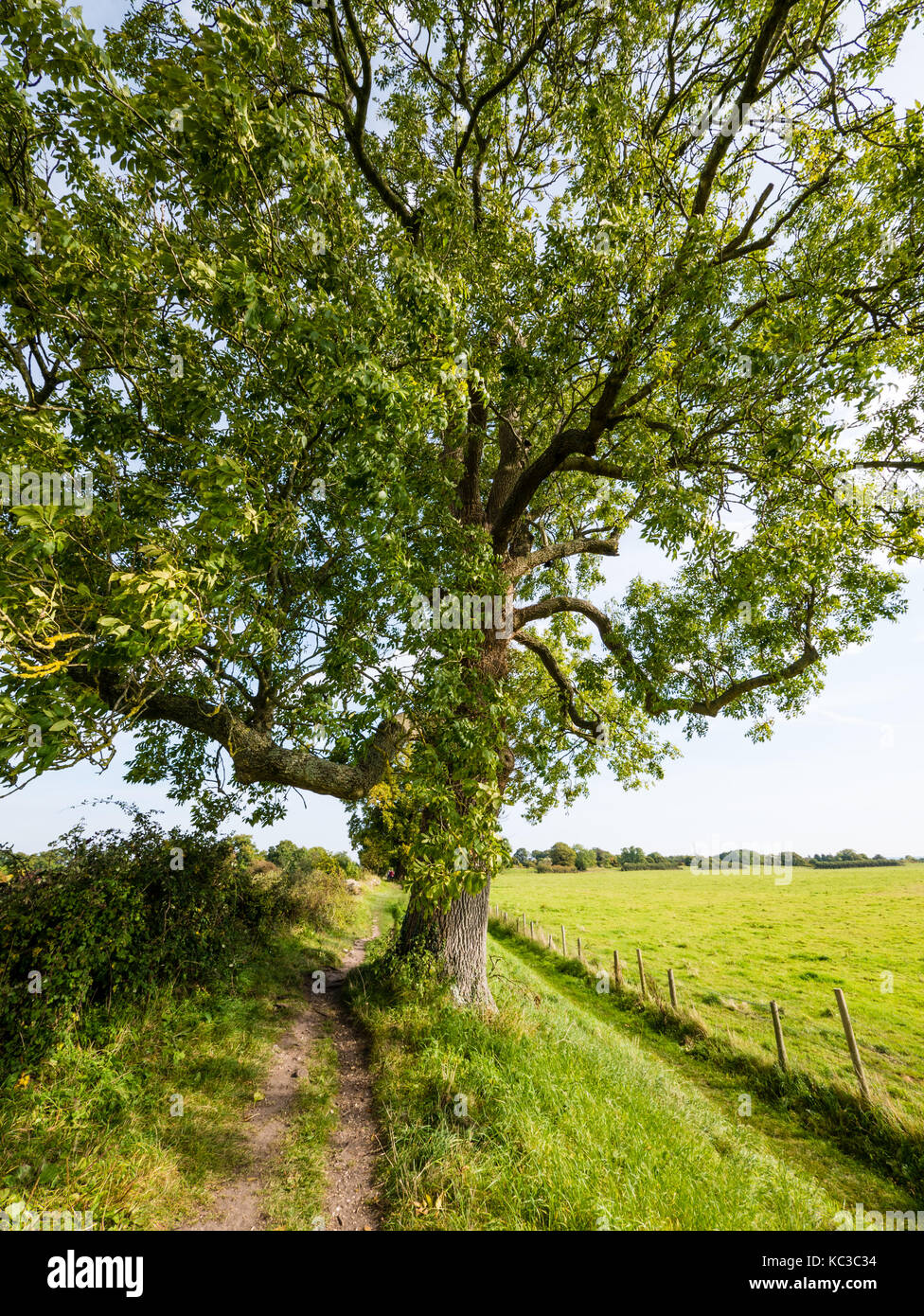 Silchester Roman Town Walls, Silchester, Hampshire, England Stock Photo ...