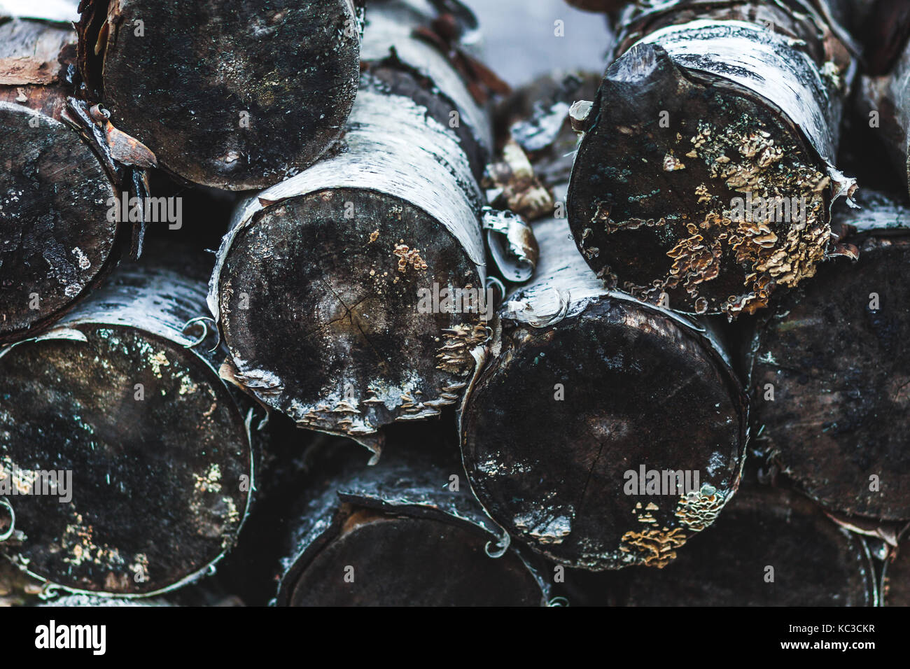 Stack of logs for firewood, black wooden background Stock Photo - Alamy