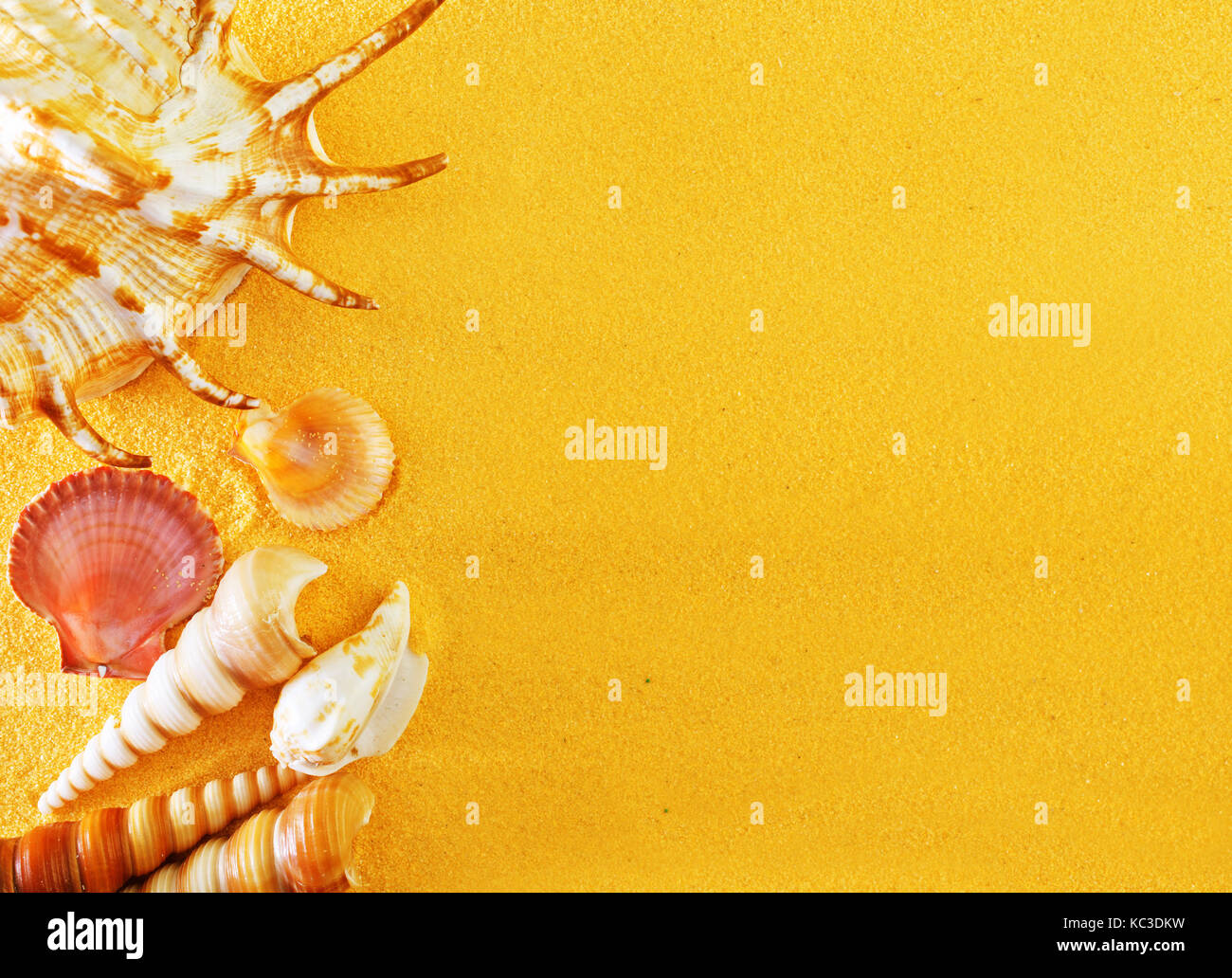 summer background, yellow sand and sea shels Stock Photo - Alamy
