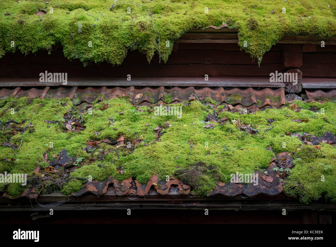 Moss roof hi-res stock photography and images - Alamy