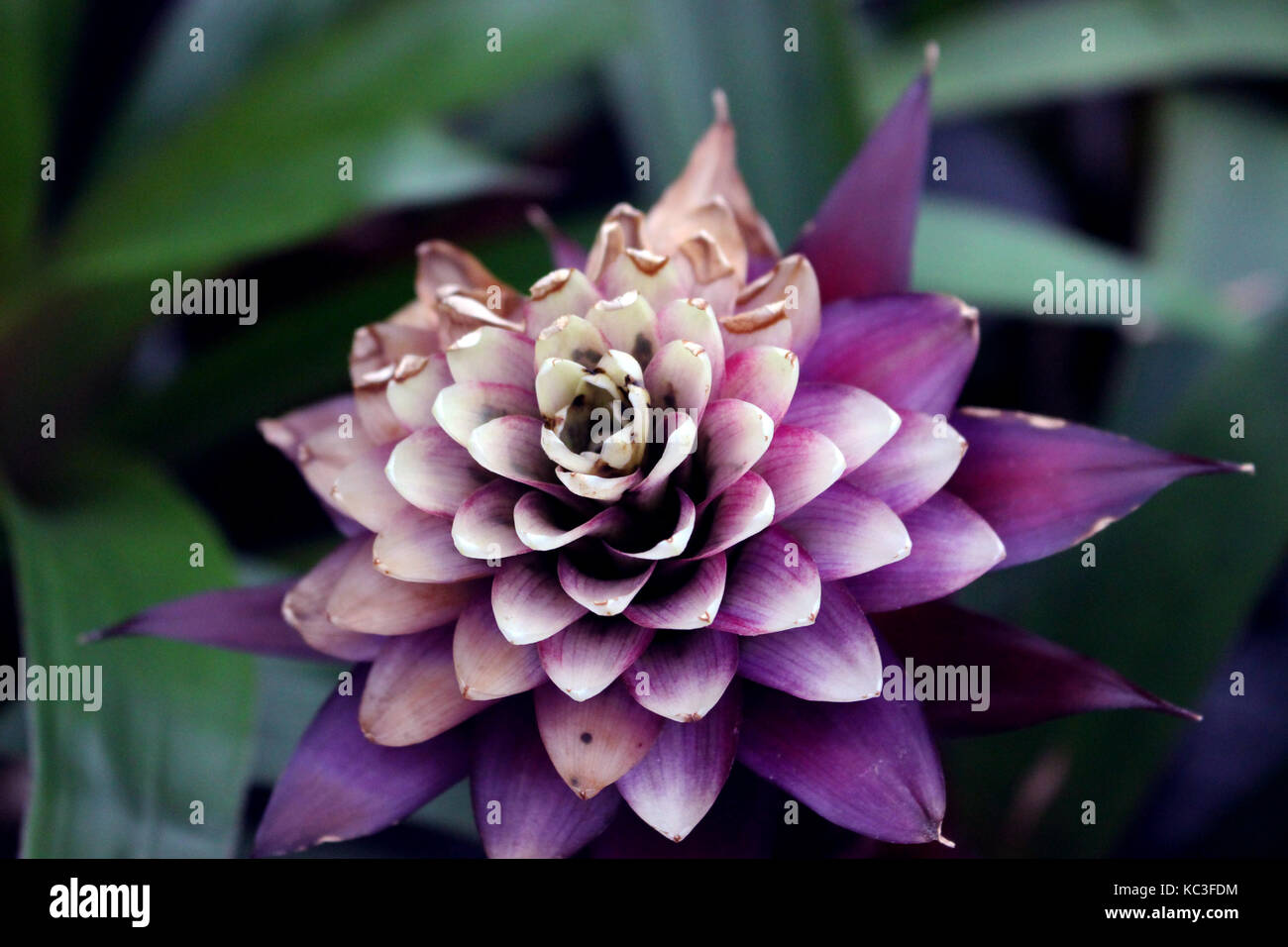 Abstract and Nature photography Stock Photo - Alamy