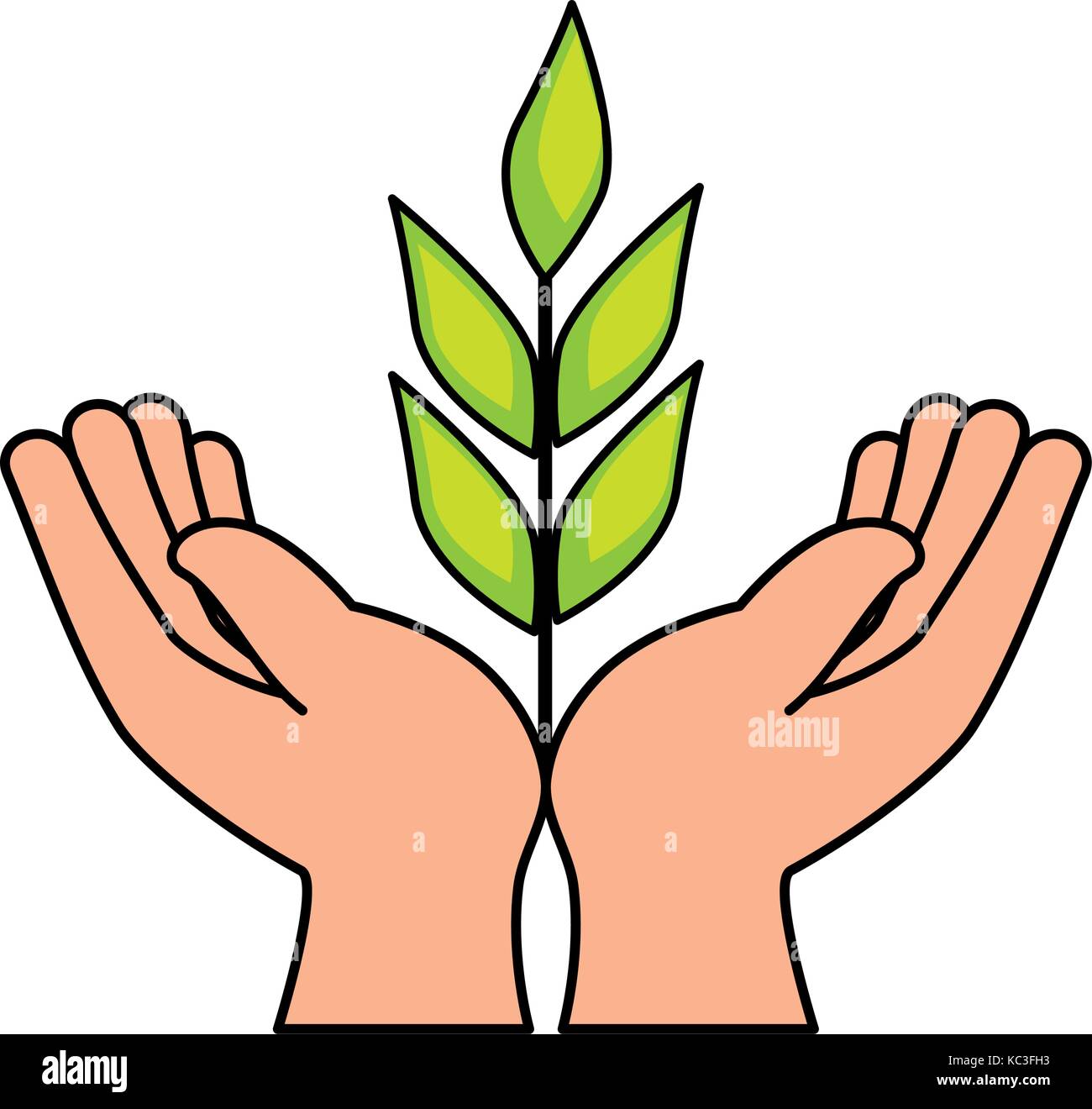 hands human protection with leafs vector illustration design Stock ...
