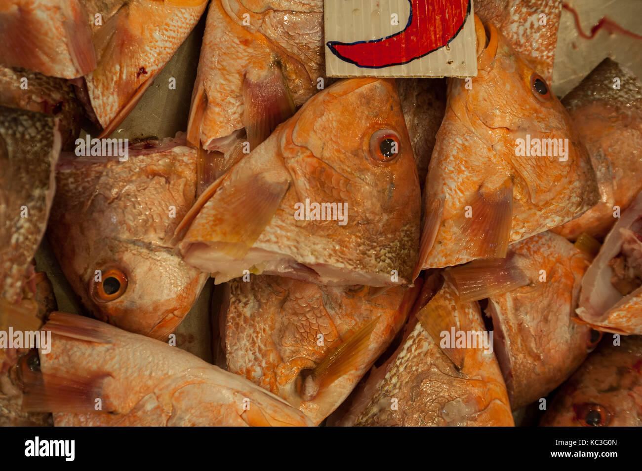Food pictures seafood hi-res stock photography and images - Alamy