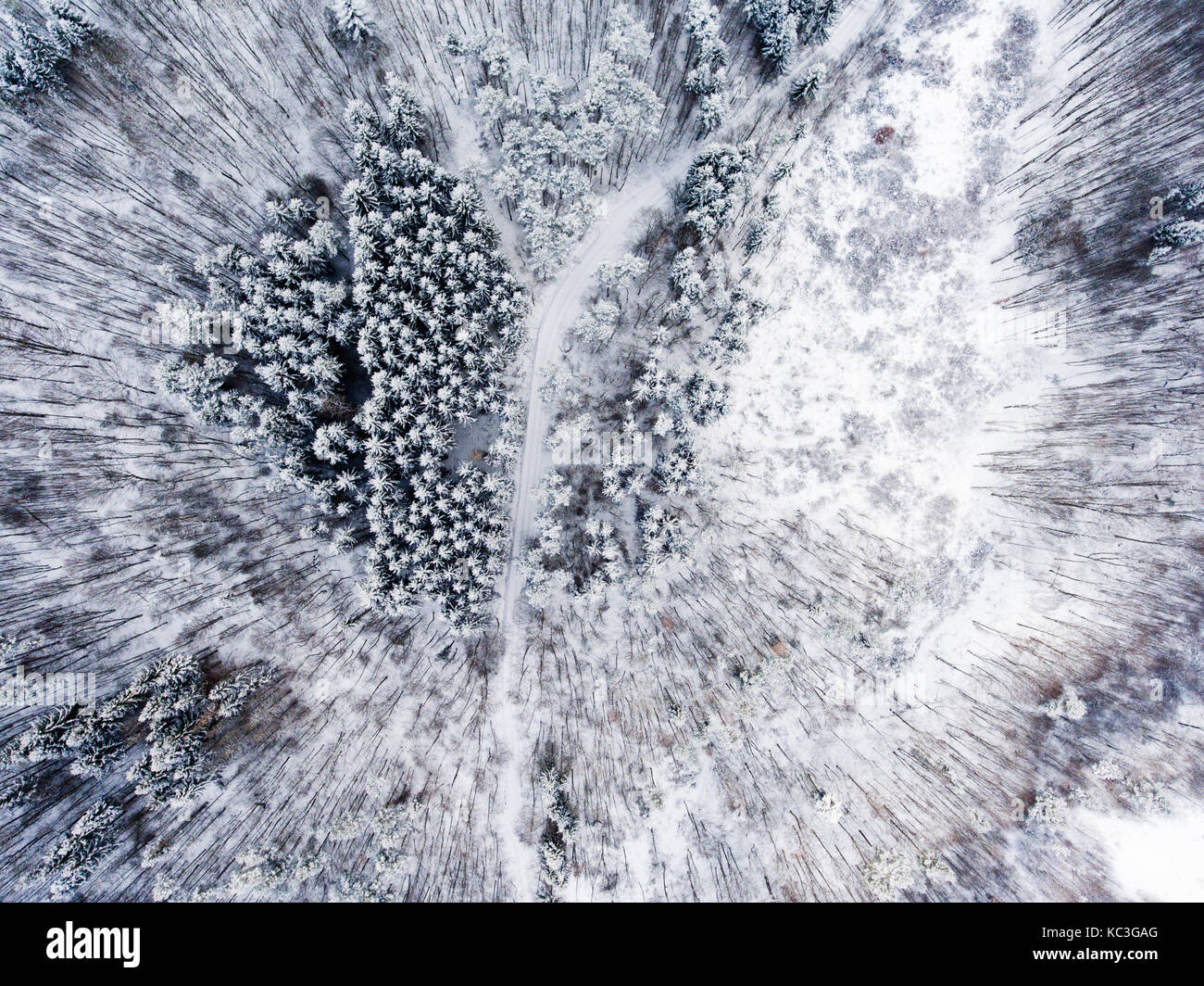 Aerial high angle view forest hi-res stock photography and images - Alamy