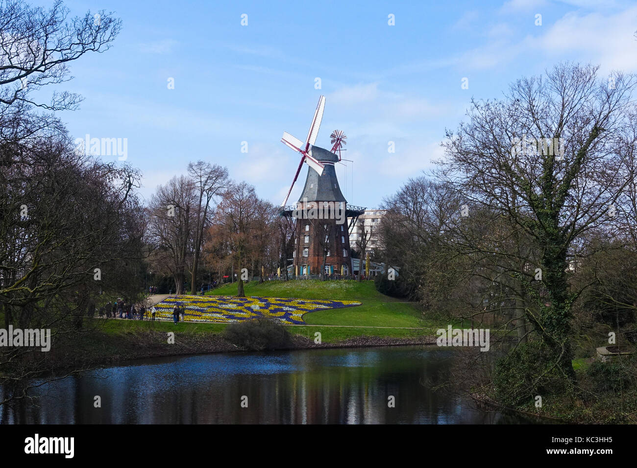 Windmill and flower field in Bremen, Germany Stock Photo - Alamy