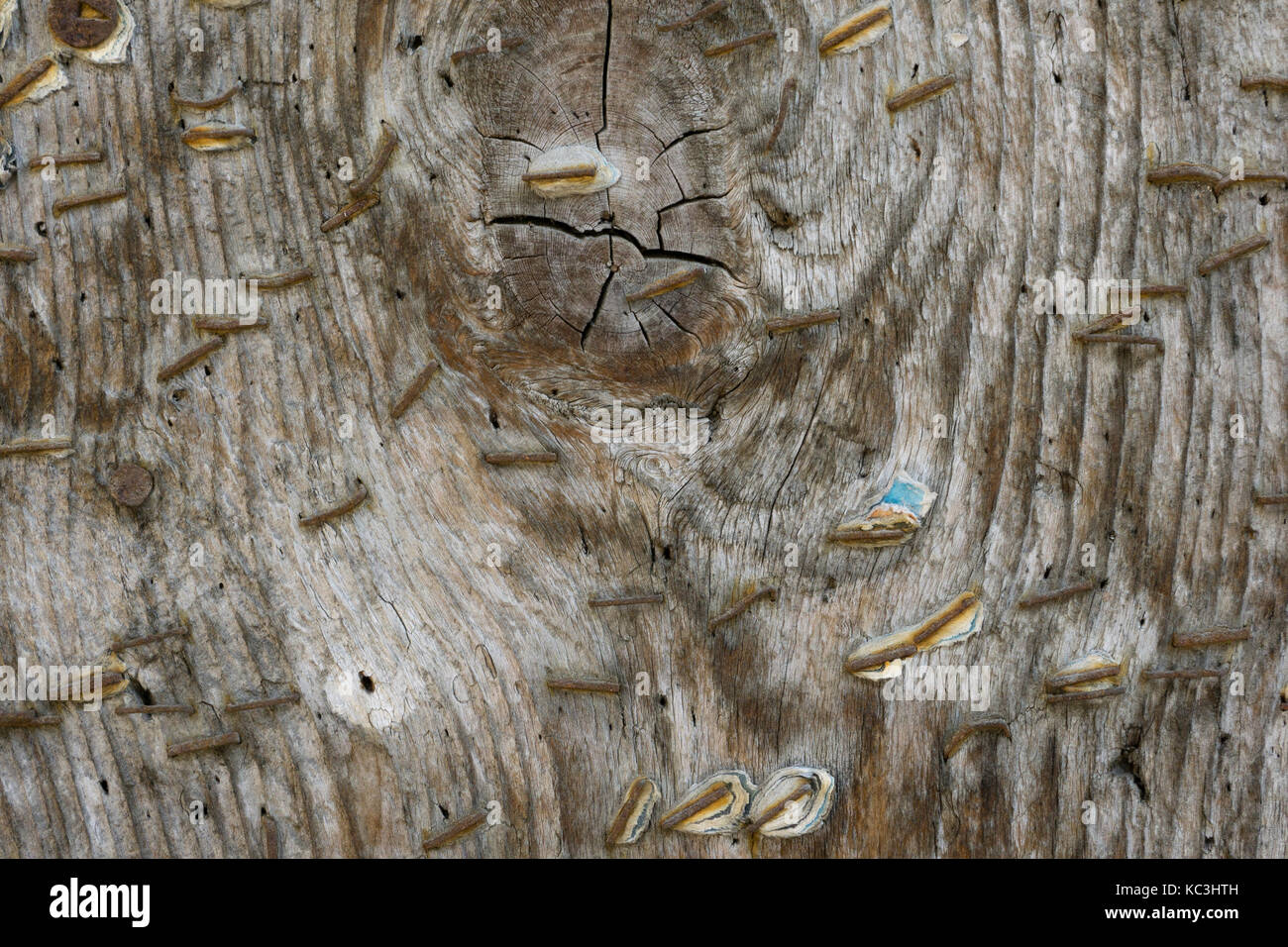 Staples rust rusty hi-res stock photography and images - Alamy