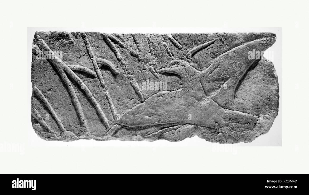 Relief with a bird, New Kingdom, Amarna Period, Dynasty 18, ca. 1353 ...