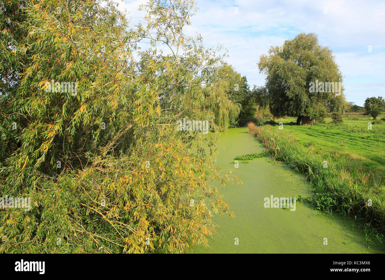 Autumn rural landscape River Deben, Ufford, Suffolk, England, UK Stock ...