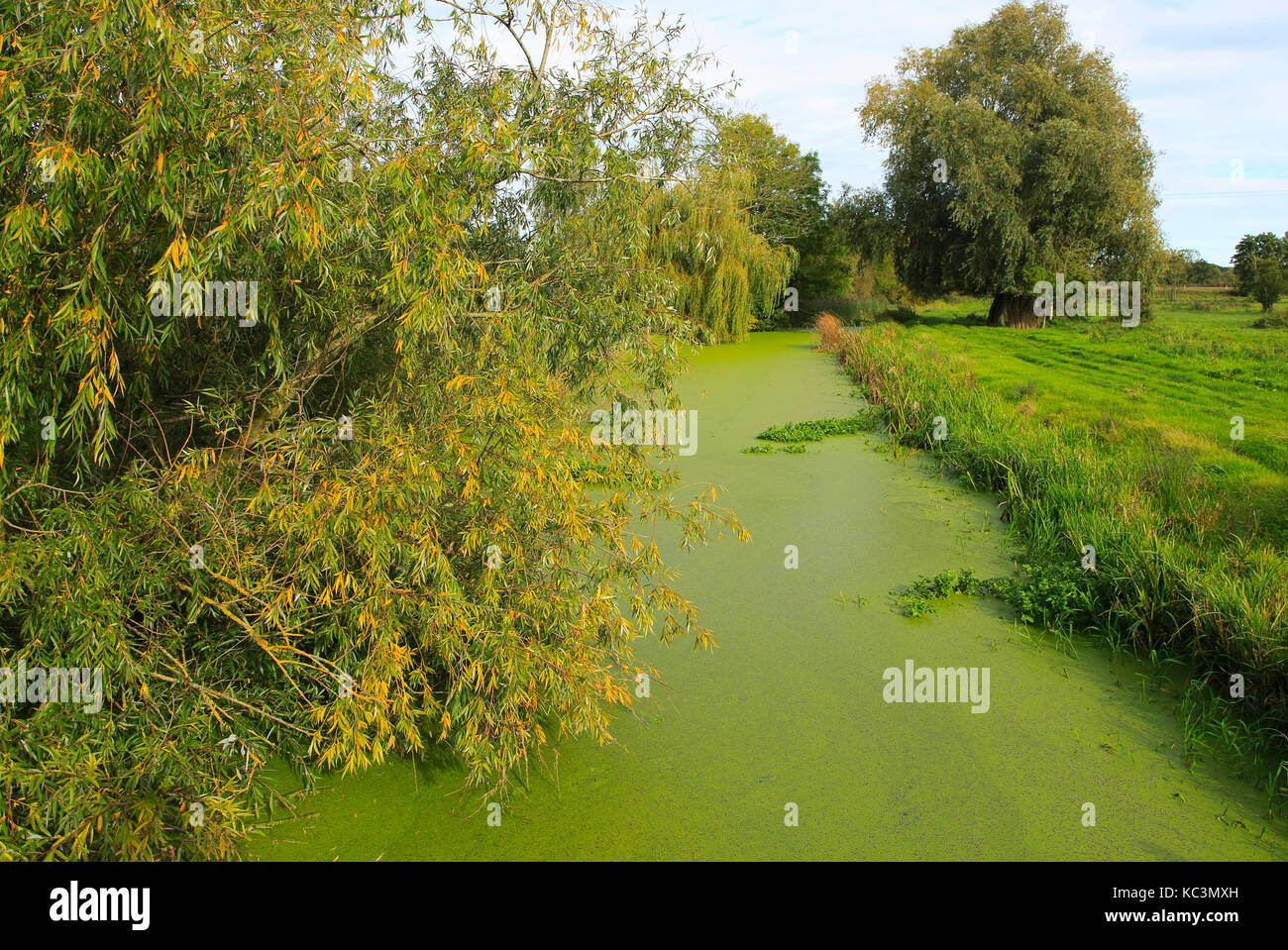 Deben valley hi-res stock photography and images - Alamy