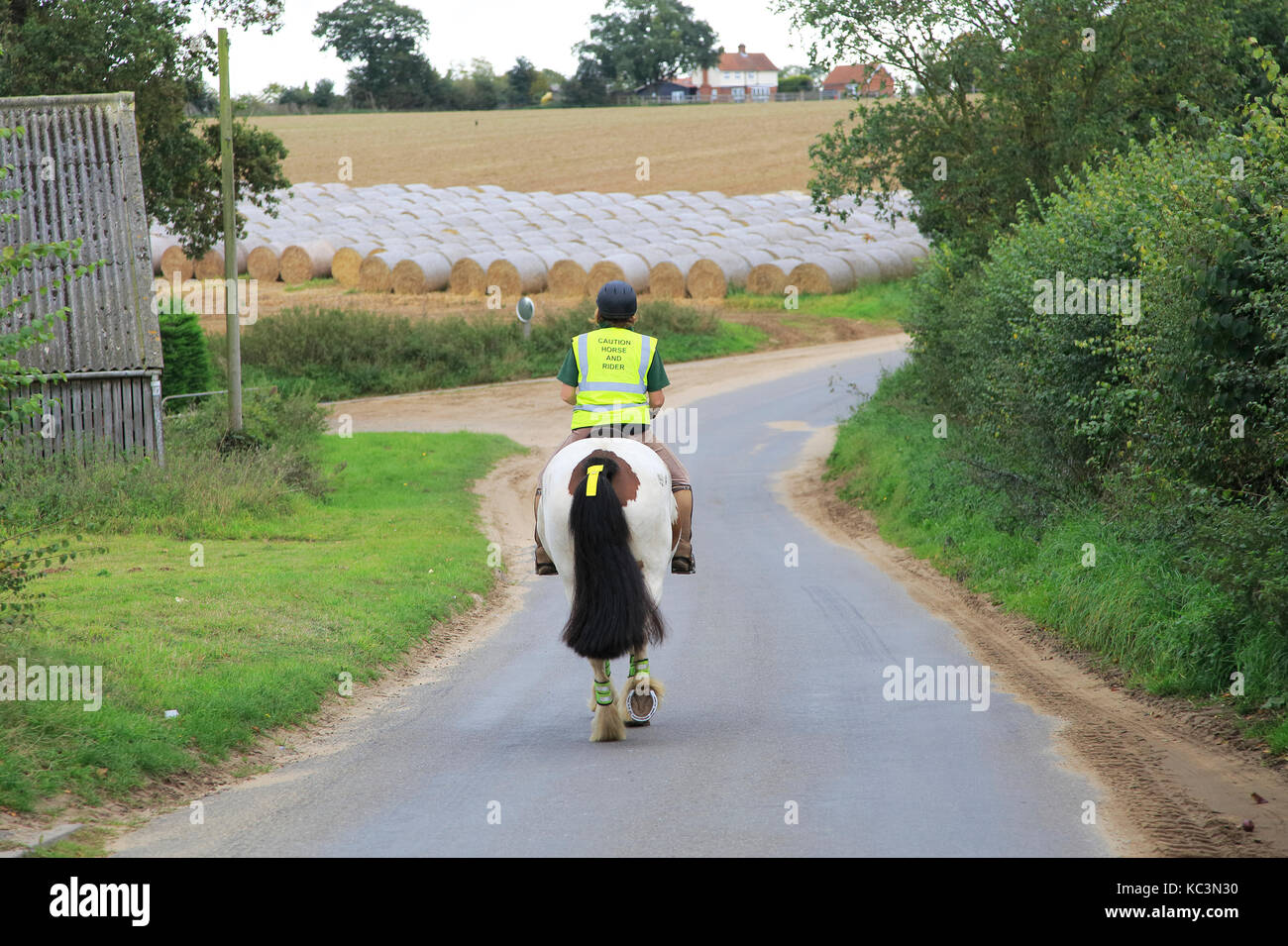 Suffolk horse riding hi-res stock photography and images - Alamy