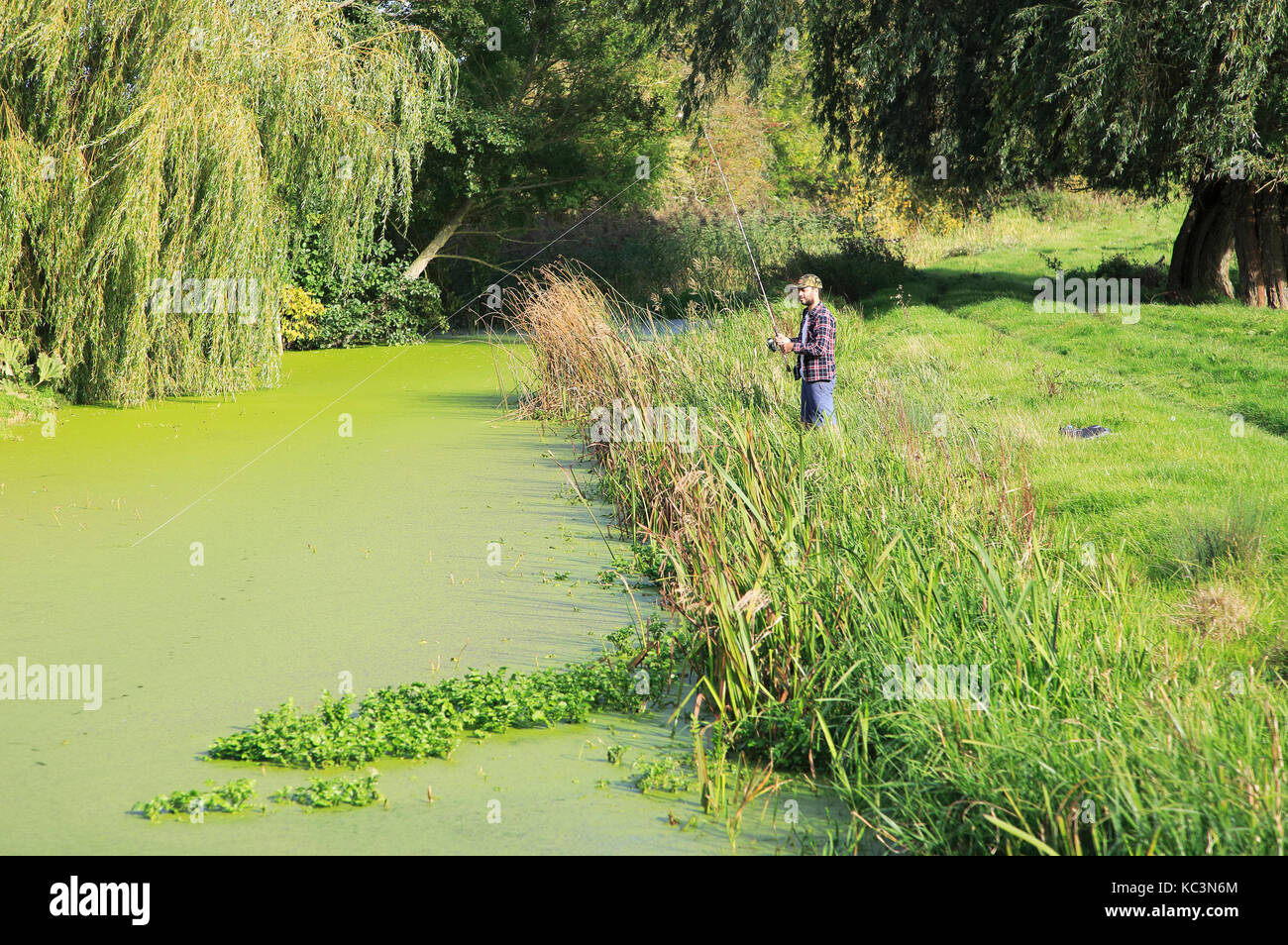 Autumn rural landscape River Deben, Ufford, Suffolk, England, UK with ...