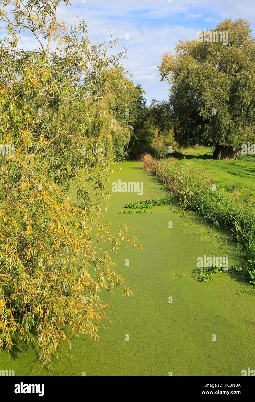 Autumn rural landscape River Deben, Ufford, Suffolk, England, UK Stock ...