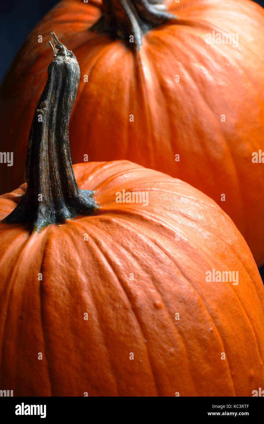First pumpkin hi-res stock photography and images - Alamy