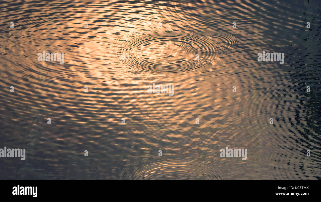 Rain drop on the surface of swiming pool water and have a ripple wave ...