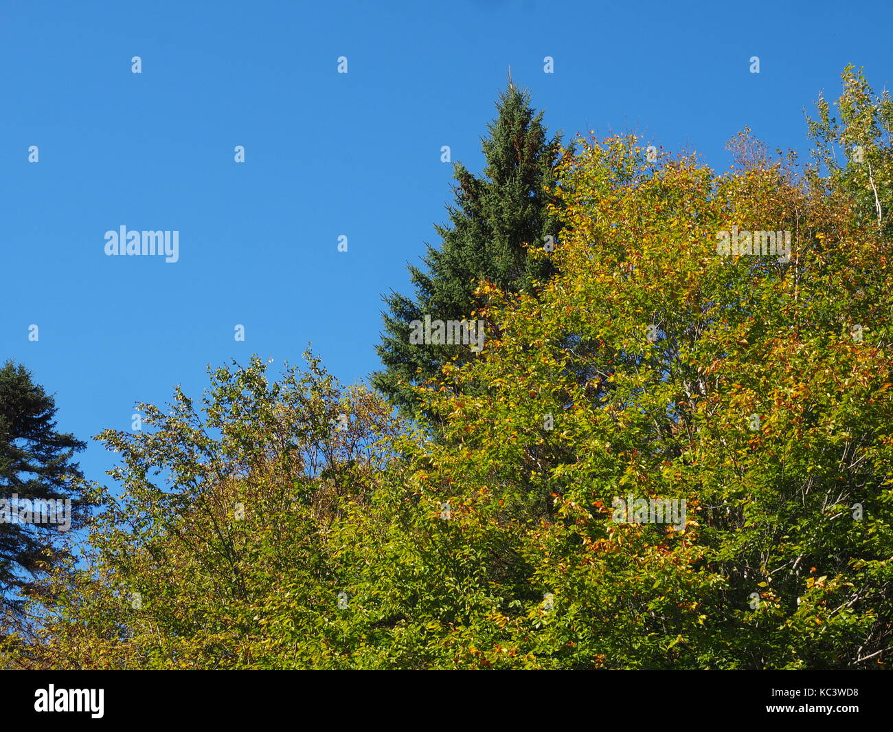 Quebec,Canada. Early fall Stock Photo - Alamy