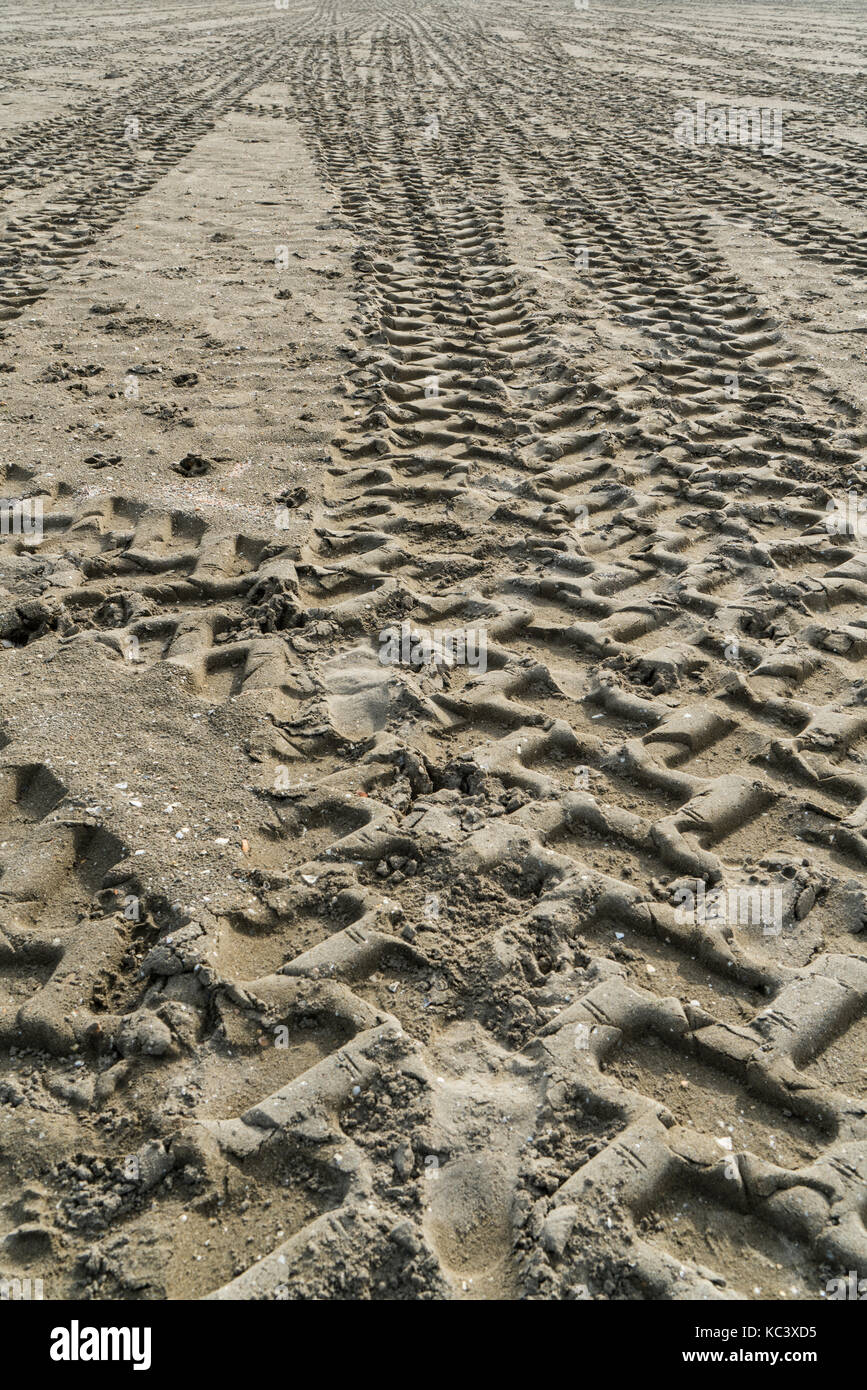 tire tracks on the sand of the beach Stock Photo - Alamy