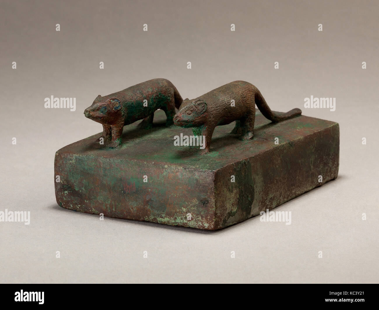 Two ichneumons surmounting hi-res stock photography and images - Alamy