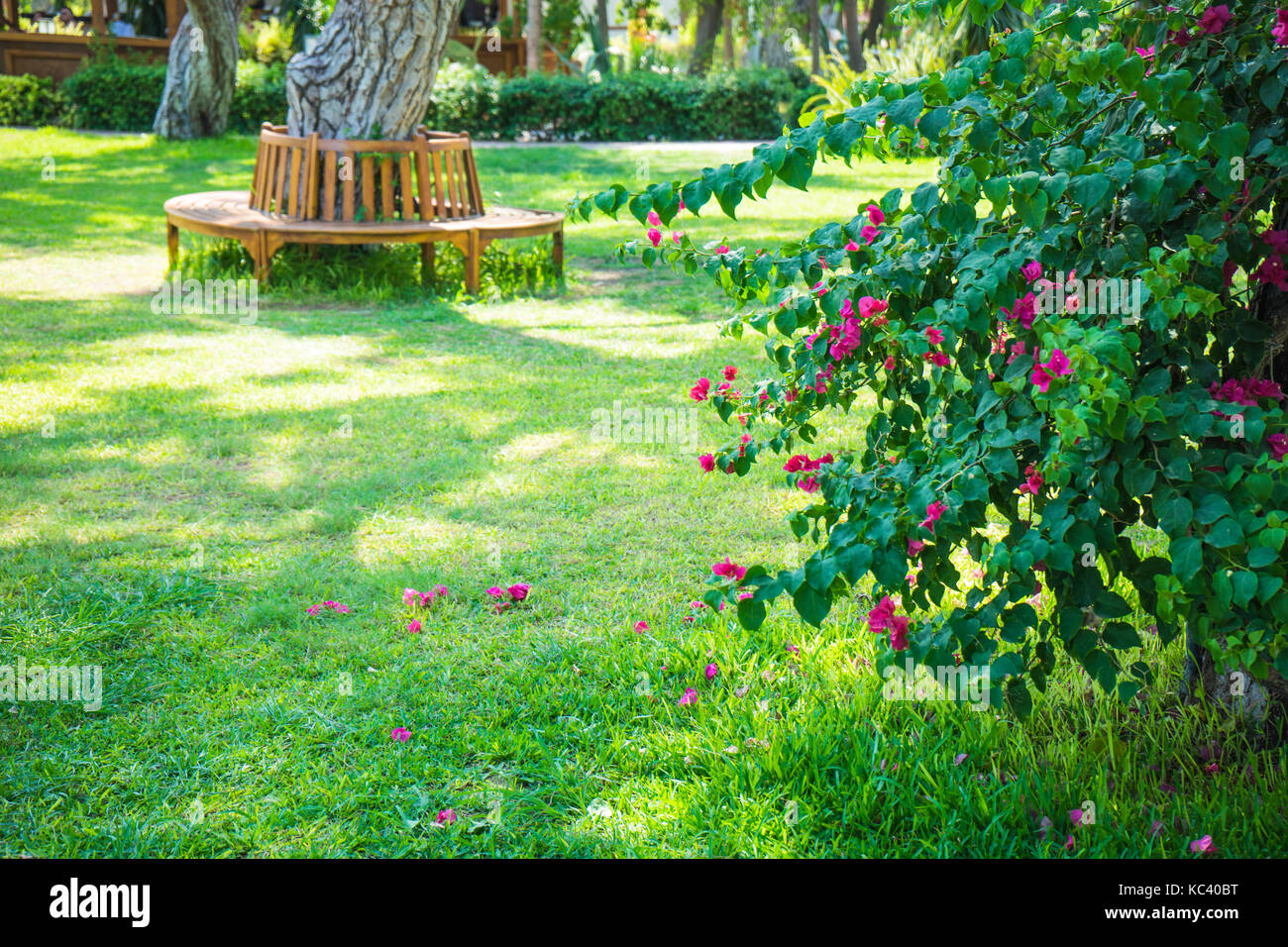 Old styled wooden park bench in a city park Stock Photo - Alamy