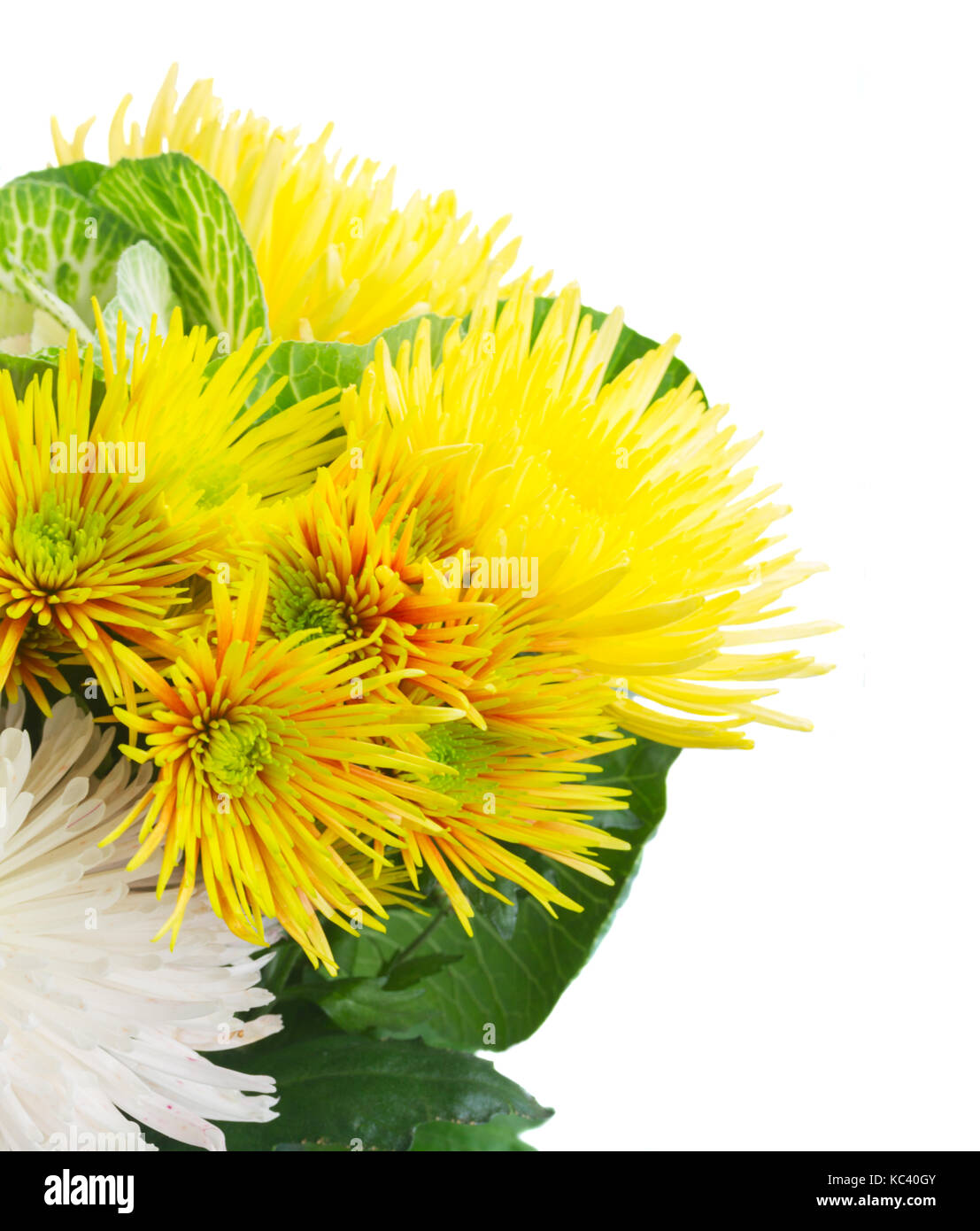 Chrisantemum flowers bouquet Stock Photo - Alamy