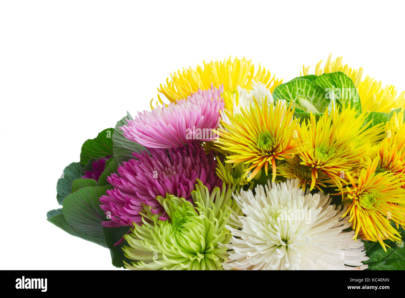 Chrisantemum flowers bouquet Stock Photo - Alamy