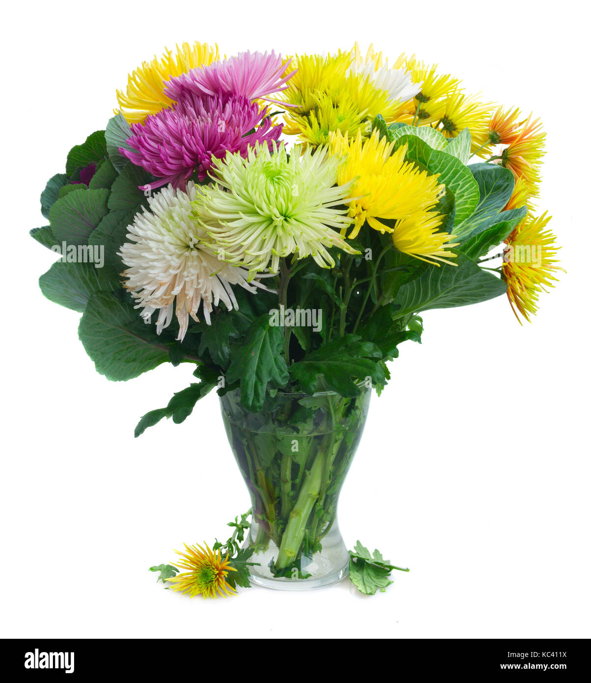 Chrisantemum flowers bouquet Stock Photo - Alamy