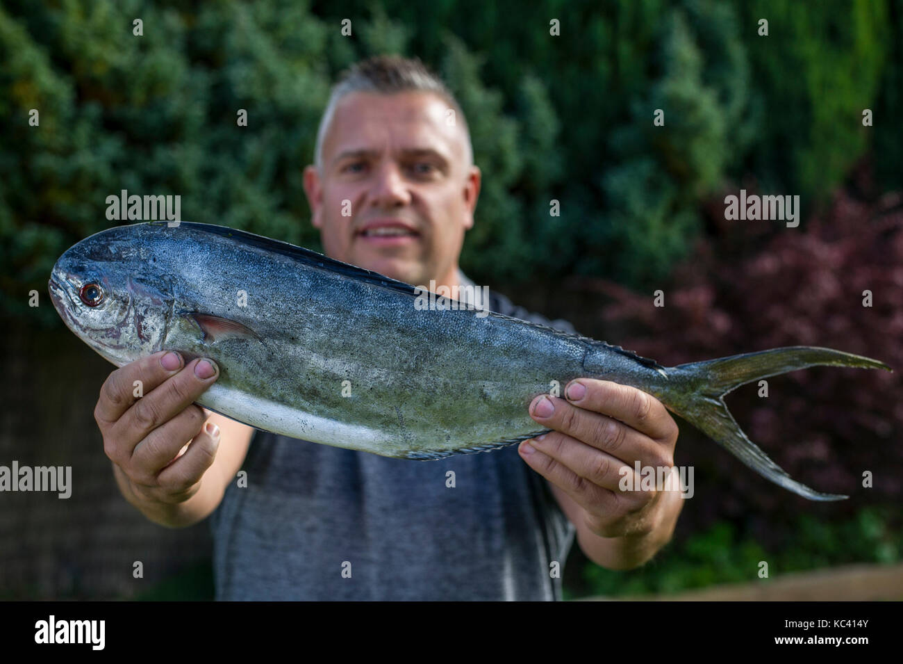 Angler Mark Padfield who caught the first recorded Dolphin Fish in ...