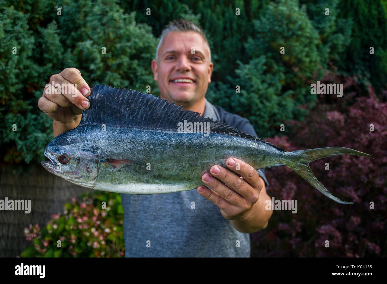 Angler Mark Padfield who caught the first recorded Dolphin Fish in ...