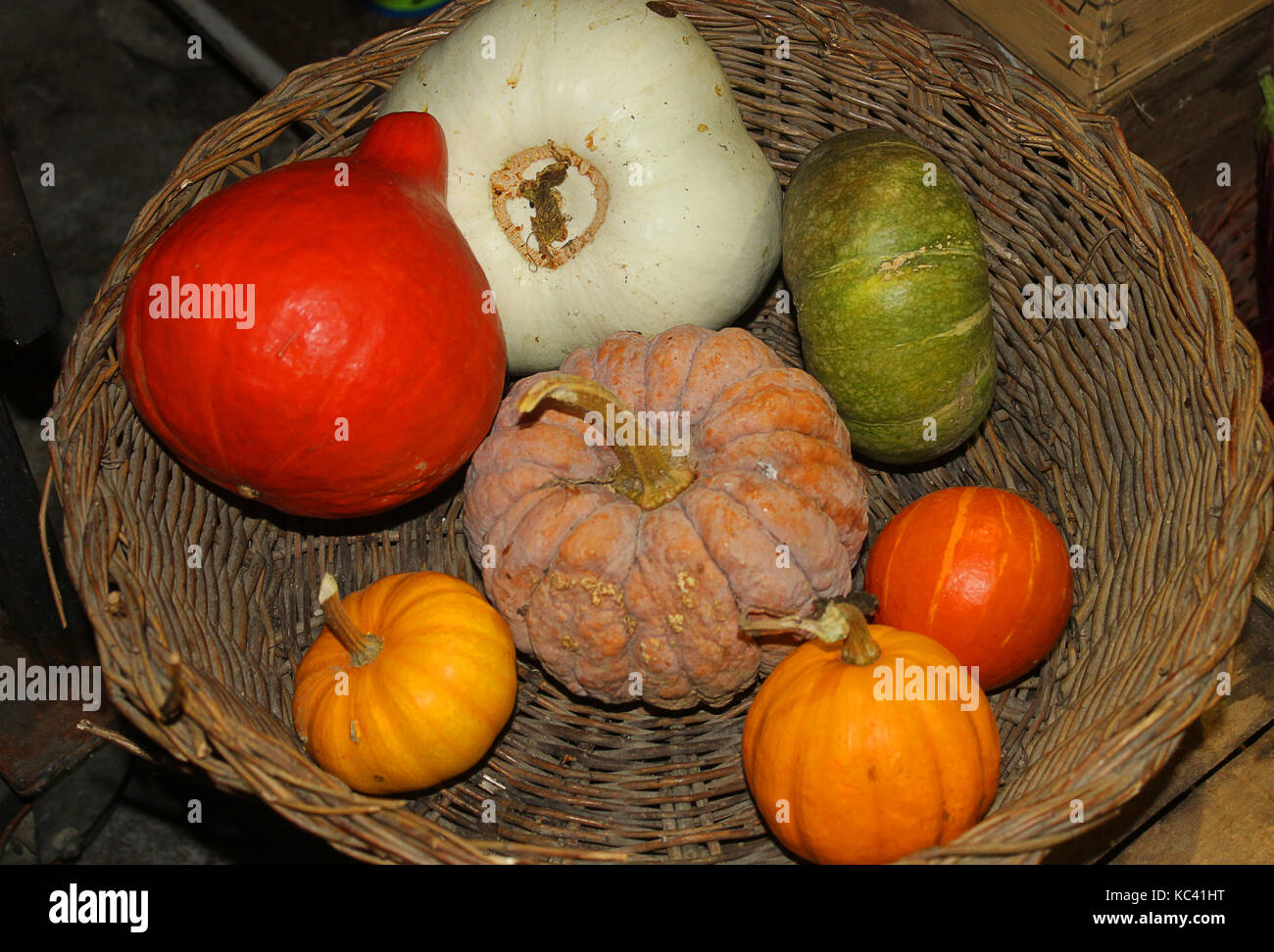 Pumpkins in different colours hi-res stock photography and images - Alamy