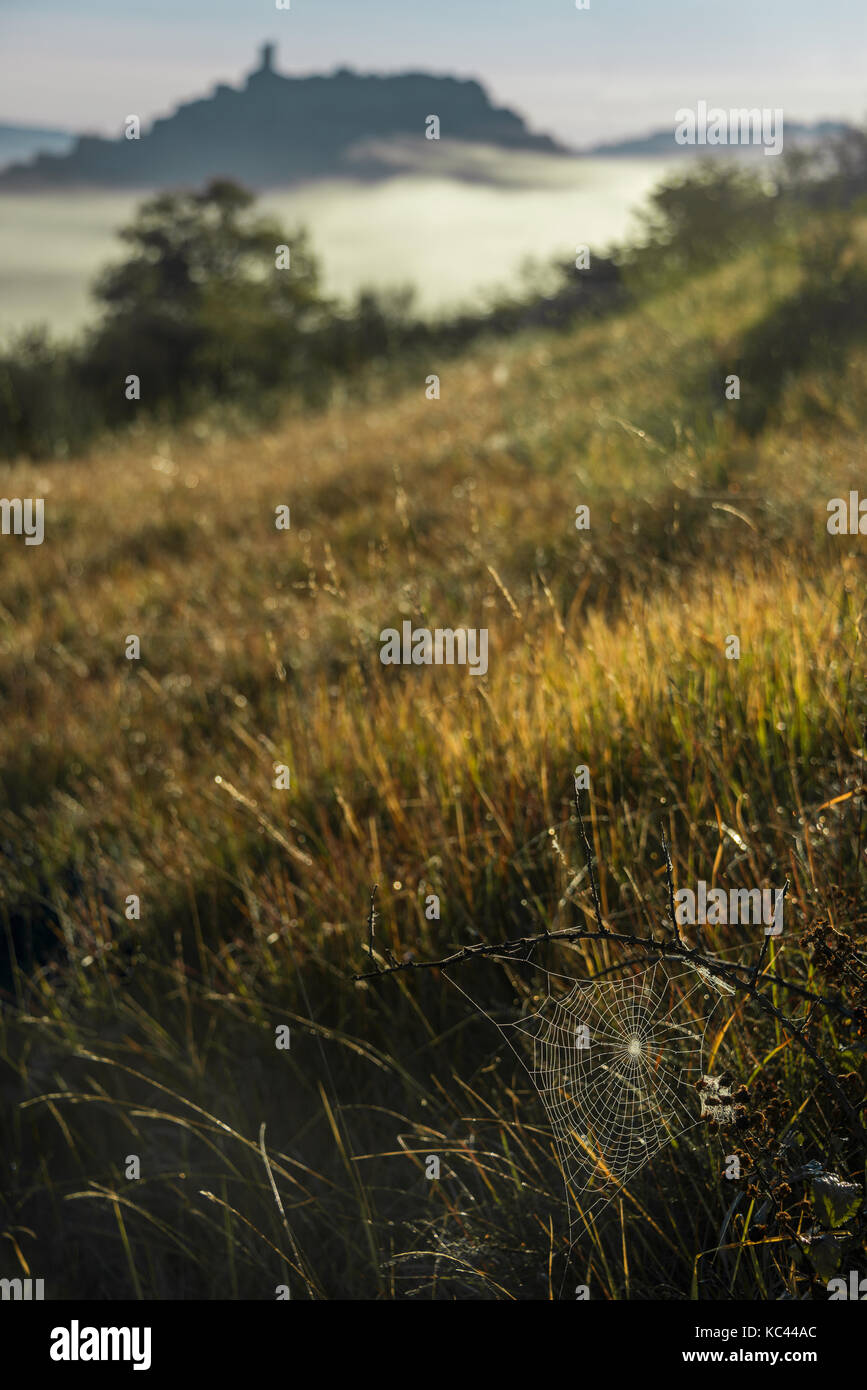 Spiders web backlit by dawn sunlight, with the medieval hilltop village ...