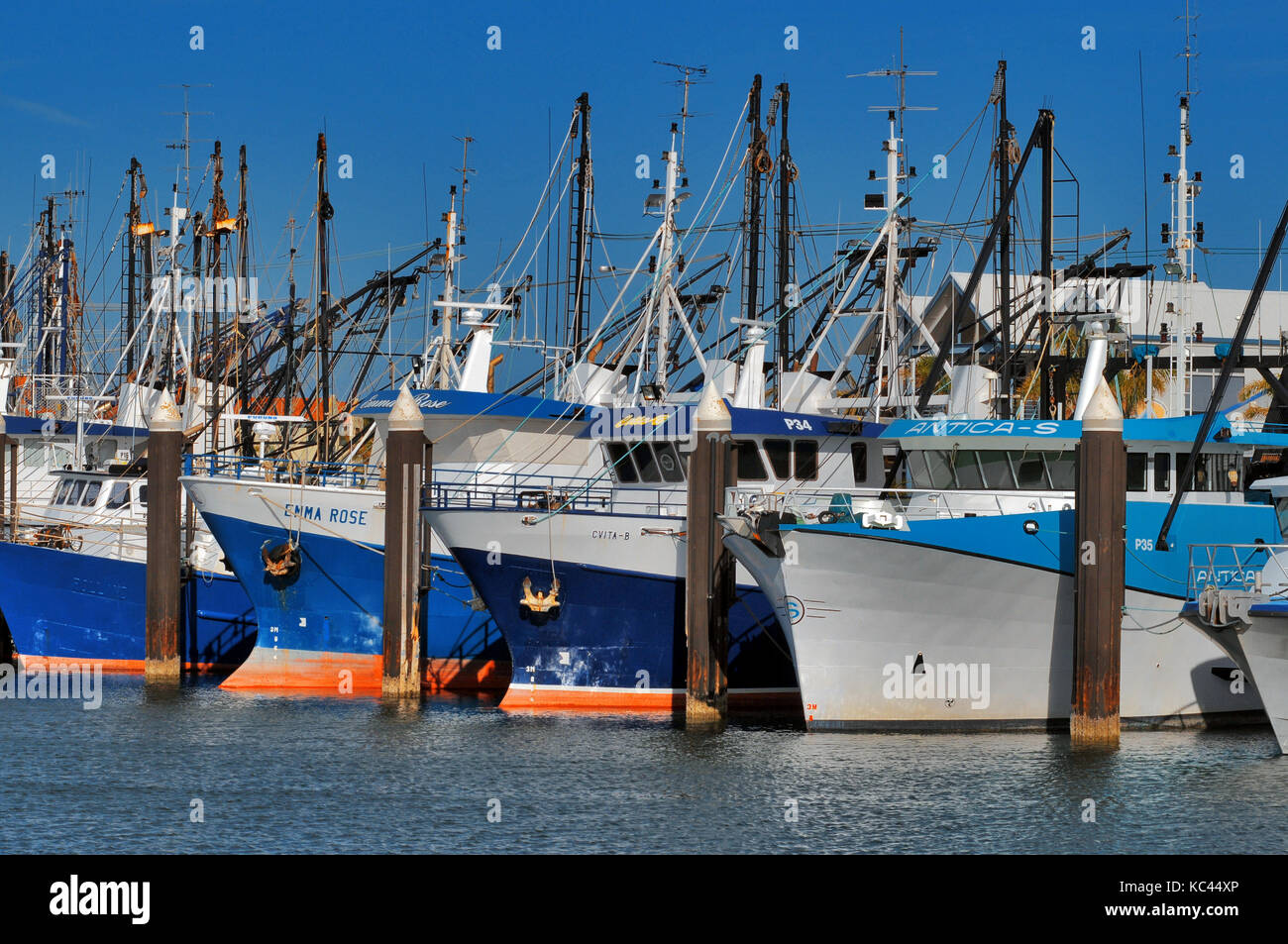 A bow view of a lineup of fishing trawlers at their mooring posts ...
