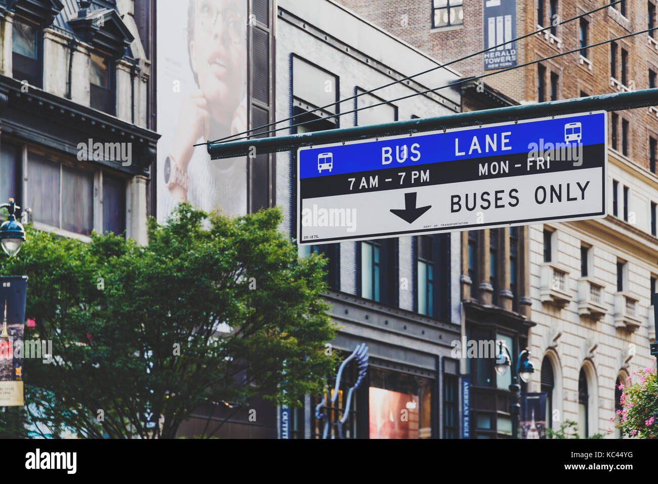 NEW YORK, NY - September 3rd, 2017: Detail of bus lane street signs in ...