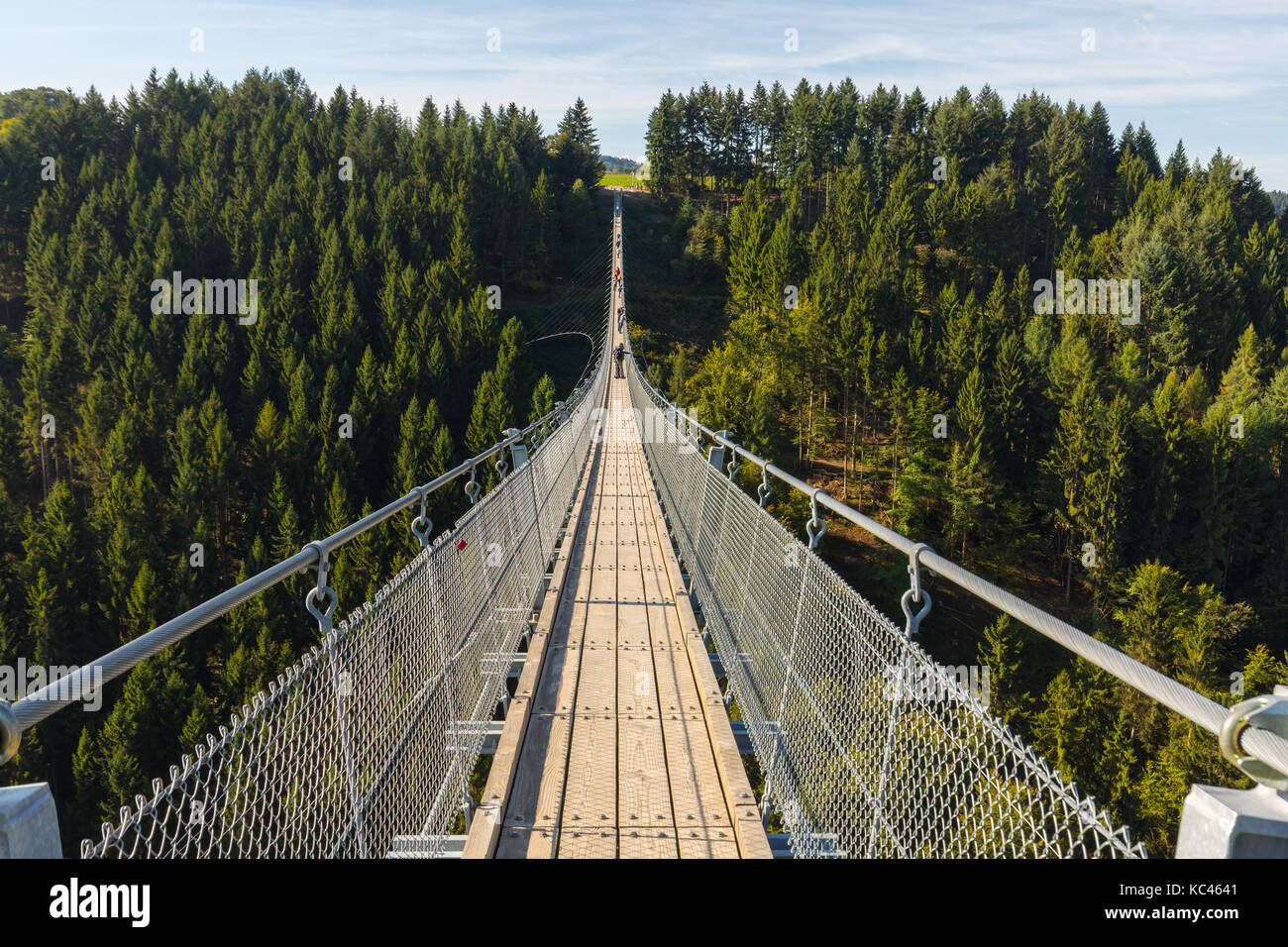 The Hängeseilbrücke Geierlay (Suspension bridge Geierlay) is a bridge ...