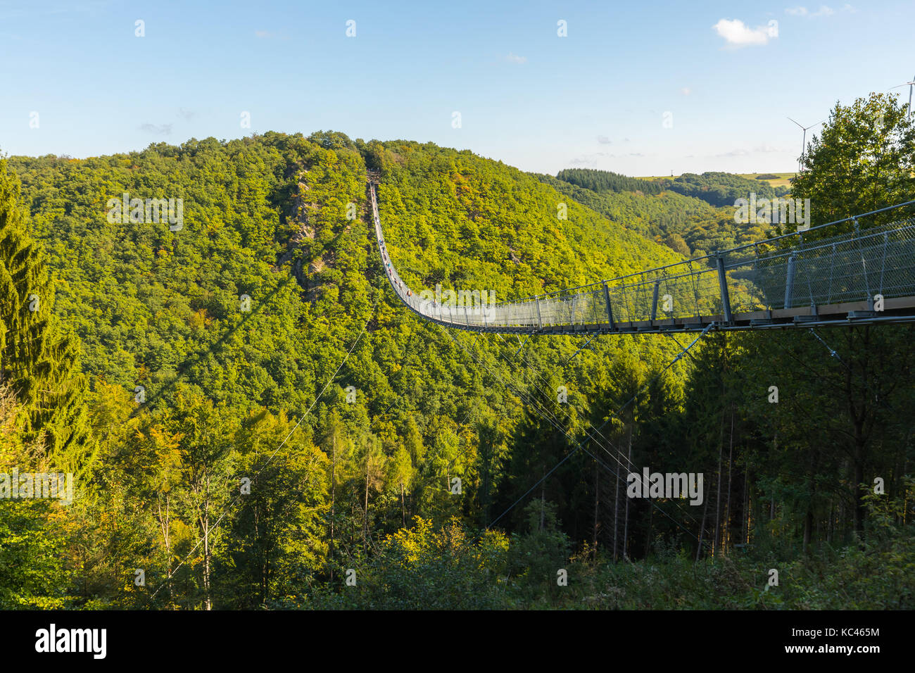 The Hängeseilbrücke Geierlay (Suspension bridge Geierlay) is a bridge ...
