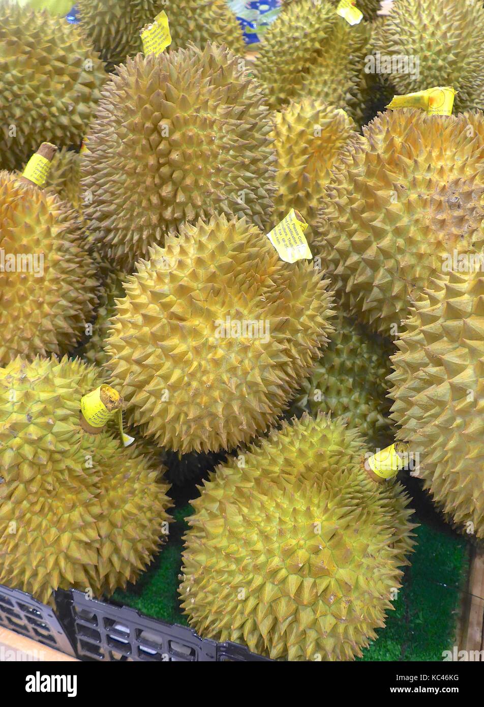 Durian fruit background closeup at the market Stock Photo - Alamy