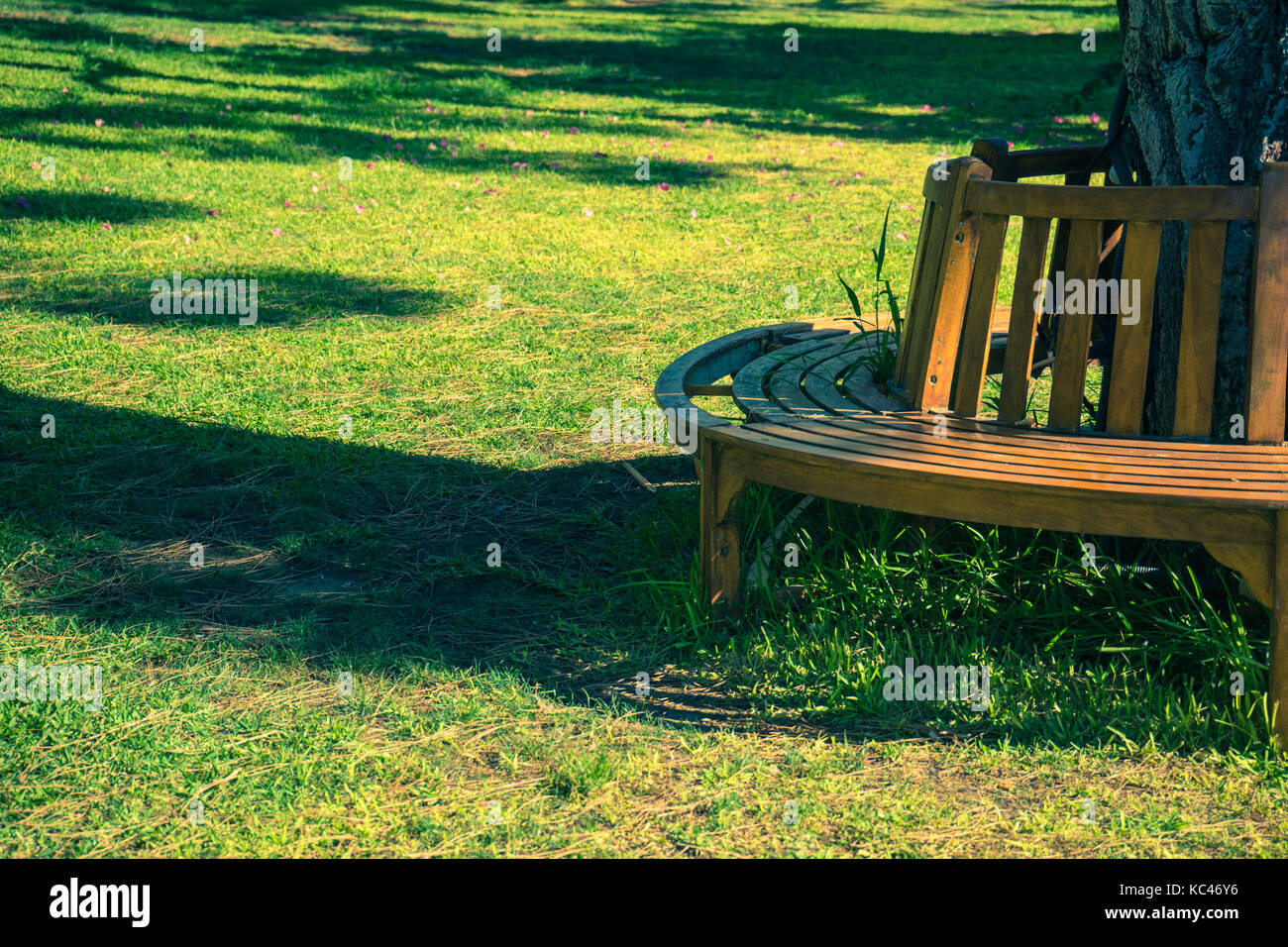 Old styled wooden park bench in a city park Stock Photo - Alamy