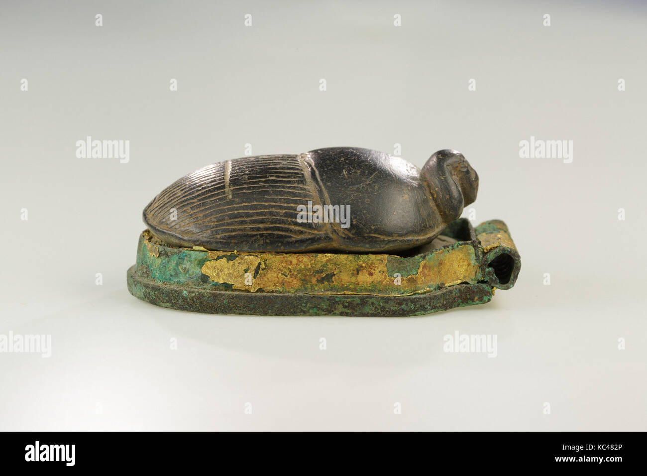 Gold scarab beetle hi-res stock photography and images - Alamy