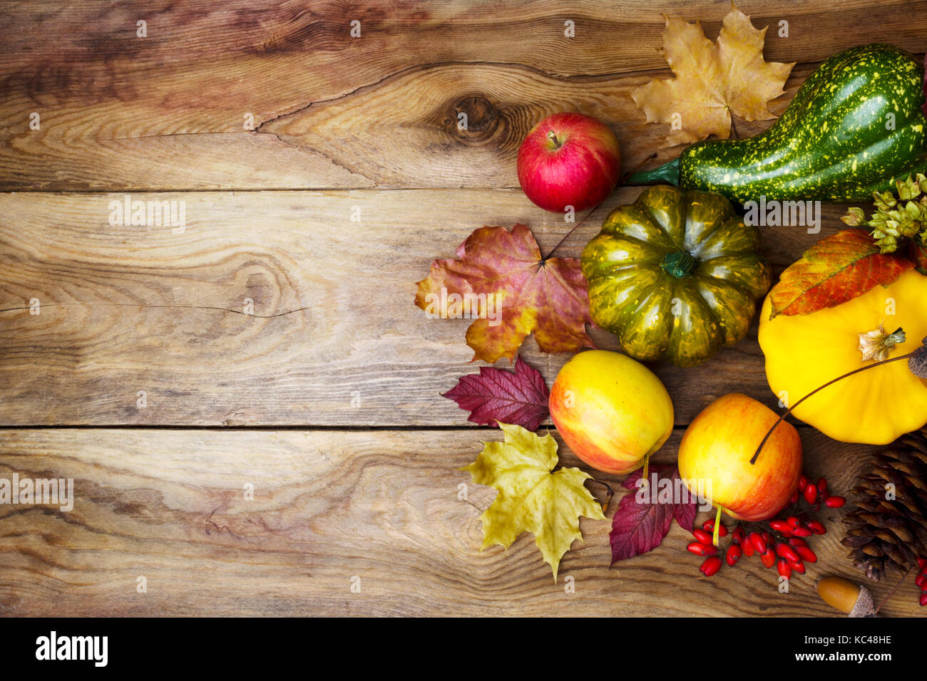 Thanksgiving background with green and yellow squash, fir cone ...