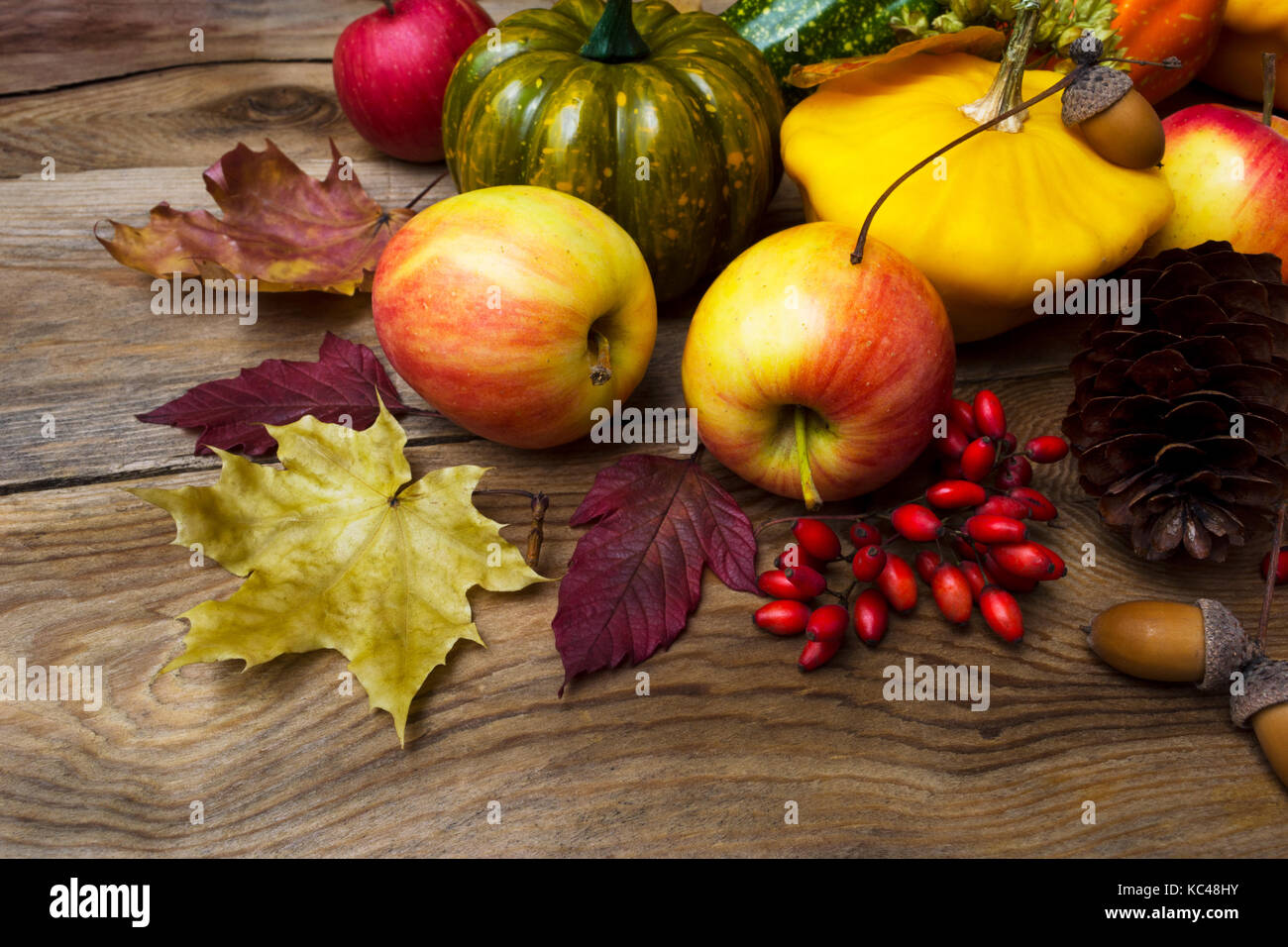 Fall background with yellow squash, fir cone, barberry, apples, acorn ...