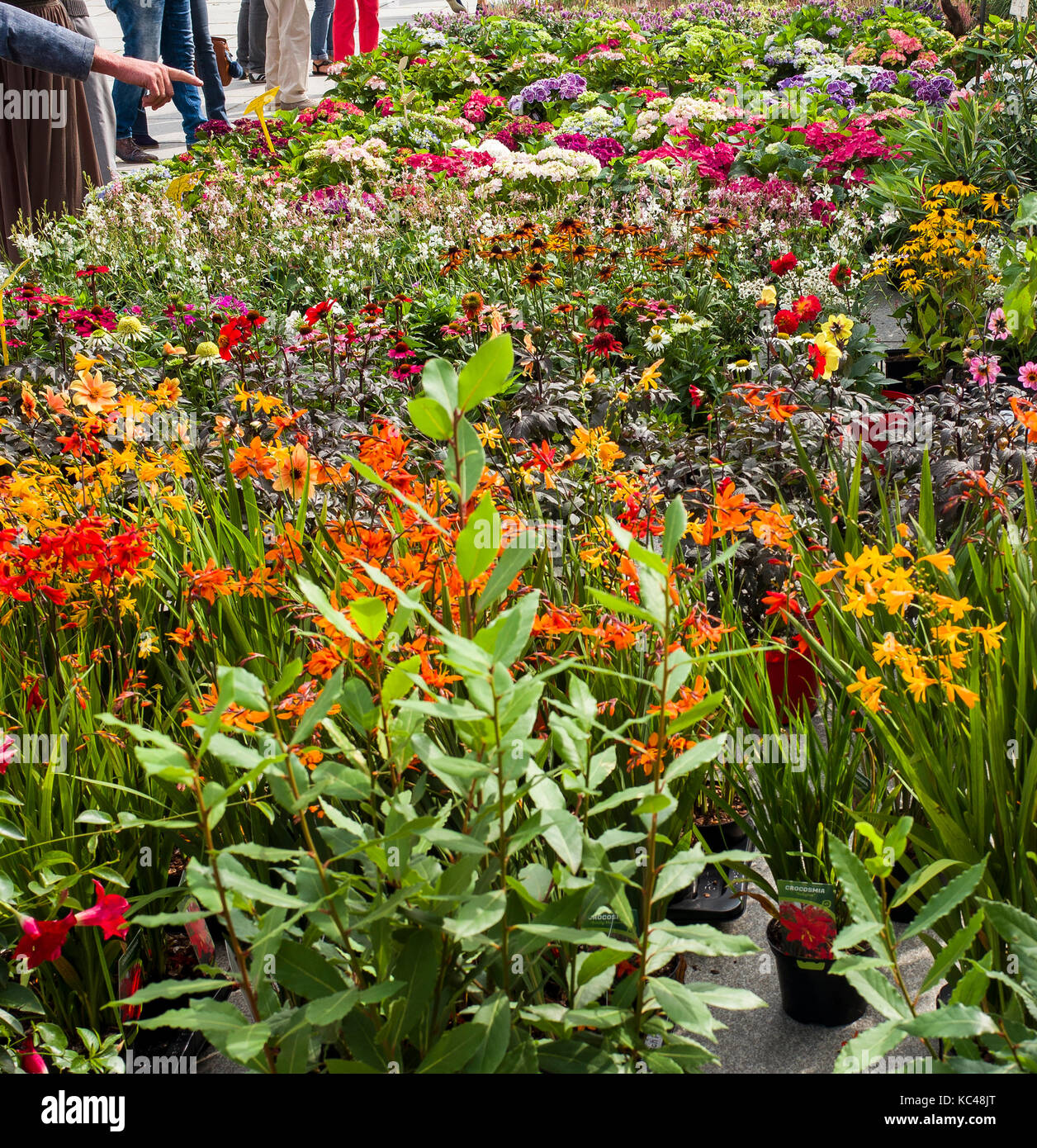Belgium flanders ghent market square hi-res stock photography and ...