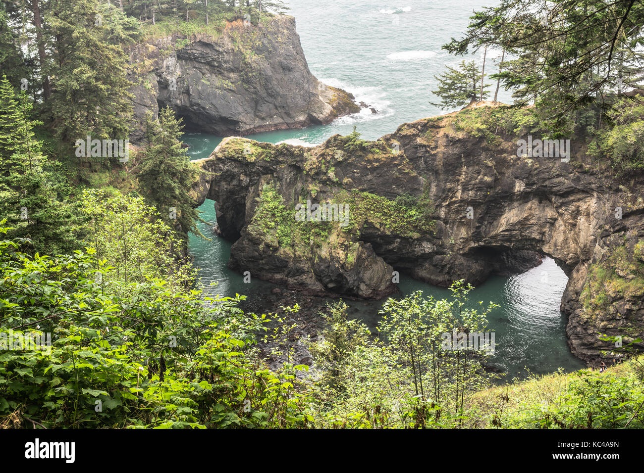 View of Natural Bridge Cove in Samuel H Boardman State Park, Oregon ...